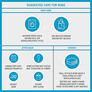 Madison Park Amherst Bathroom Rugs Room Décor 100% Cotton Tufted Ultra Soft Non-Slip, Absorbent Quick Dry Bathtub Mats, 20x30, Brown/Blue