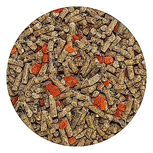 Sugar Glider Diet with Papaya and Eucalyptus (2 lb) - High Protein All Natural Healthy Sugar Glider Food - Nutritionally Complete Staple Diet