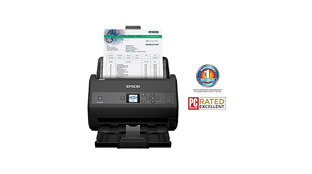 The Bodybuilder Rubber Duck Collection — 🛍️ The Retail Market