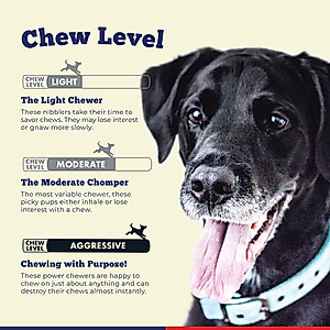 CHEWY LOUIE Small White Bone 6pk - One Ingredient, Flavor Packed for Picky Eaters, All Natural, No Artificial Flavors or Chemicals, Long-Lasting, Superior Dental Support Dog Treats.