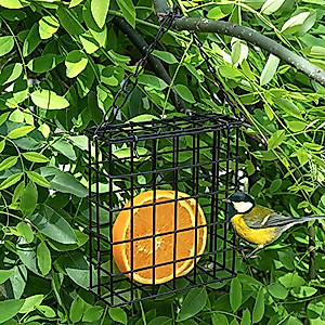 Suet Bird Feeders for Outside Hanging - Pack of 2 pcs x Single Suet Cake Capacity Basket/Cage for Feeding Wild Birds Outdoors/Backyard/Garden