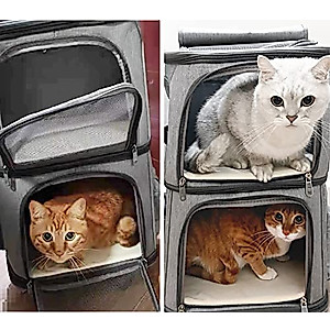 Cat Backpack Carrier for 2 Cats, Cat Carrier for Large Cats, Dog Backpack for 2 Small Dogs, with 7 Ventilation Windows, Built-in Frame and Support Plate, Safety Straps, Collapsible, Beviliu