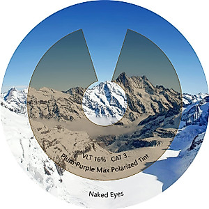 Tintart Performance Replacement Lenses Compatible with Oakley Batwolf OO9101 Polarized Etched-Plum Purple