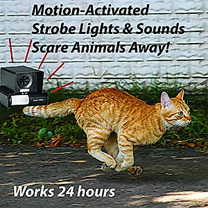 PREDATORGUARD PestAway Outdoor Animal & Cat with Motion Sensor Stops Animals Destroying Your Gardens & Yard