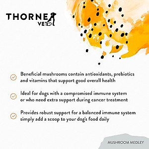 ThorneVet Mushroom Medley for Dogs - Immune System Support Plus Antioxidants - with Reishi, Turkey Tail, Cordyceps, Maitake, and Chaga Mushrooms - Support for Dogs Having Cancer Treatment - 120 Scoops