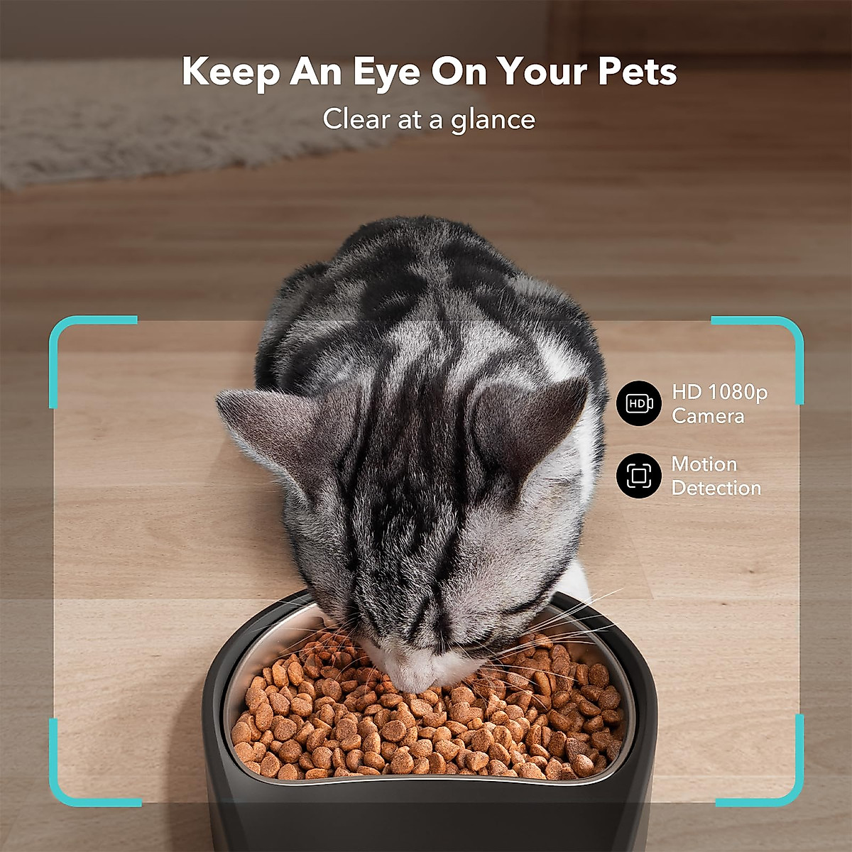 PETLIBRO Automatic Cat Feeder with Camera, 1080P HD Video with Night Vision, 5G WiFi Pet Feeder with 2-Way Audio, Low Food & Blockage Sensor, Motion & Sound Alerts for Cat & Dog Single Tray