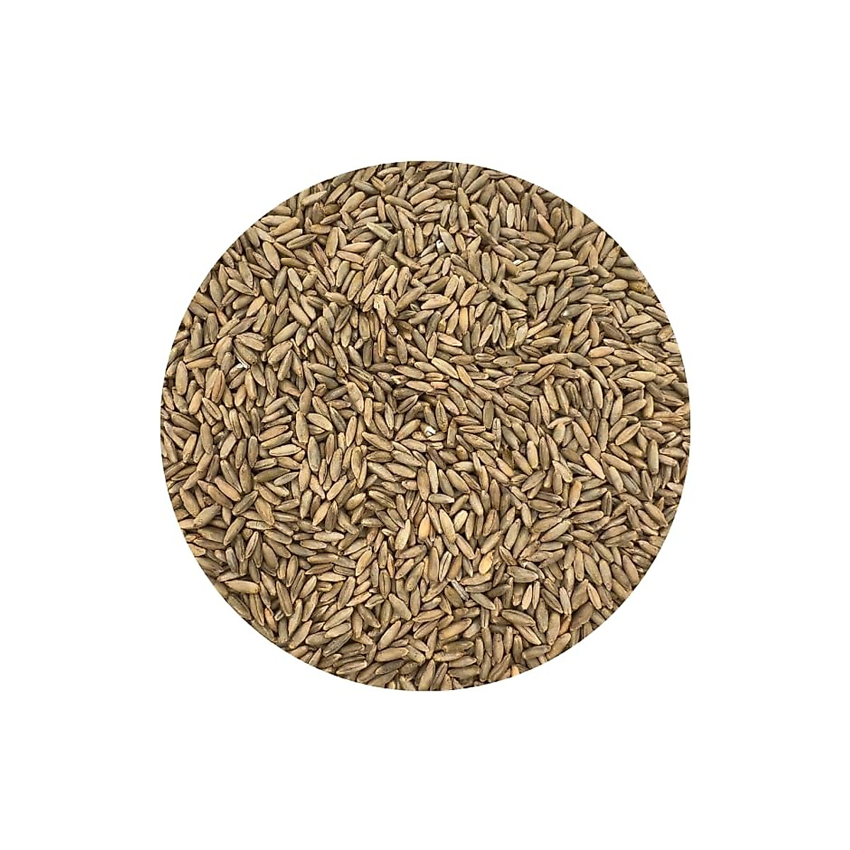 Winter Rye Grass Seed Grass Seed Fall Mix Ryegrass Seeds for Lawn No Till Food Plot Seed,Fall Cover Crop Seed Mix 5 lbs by Old Cobblers Farm
