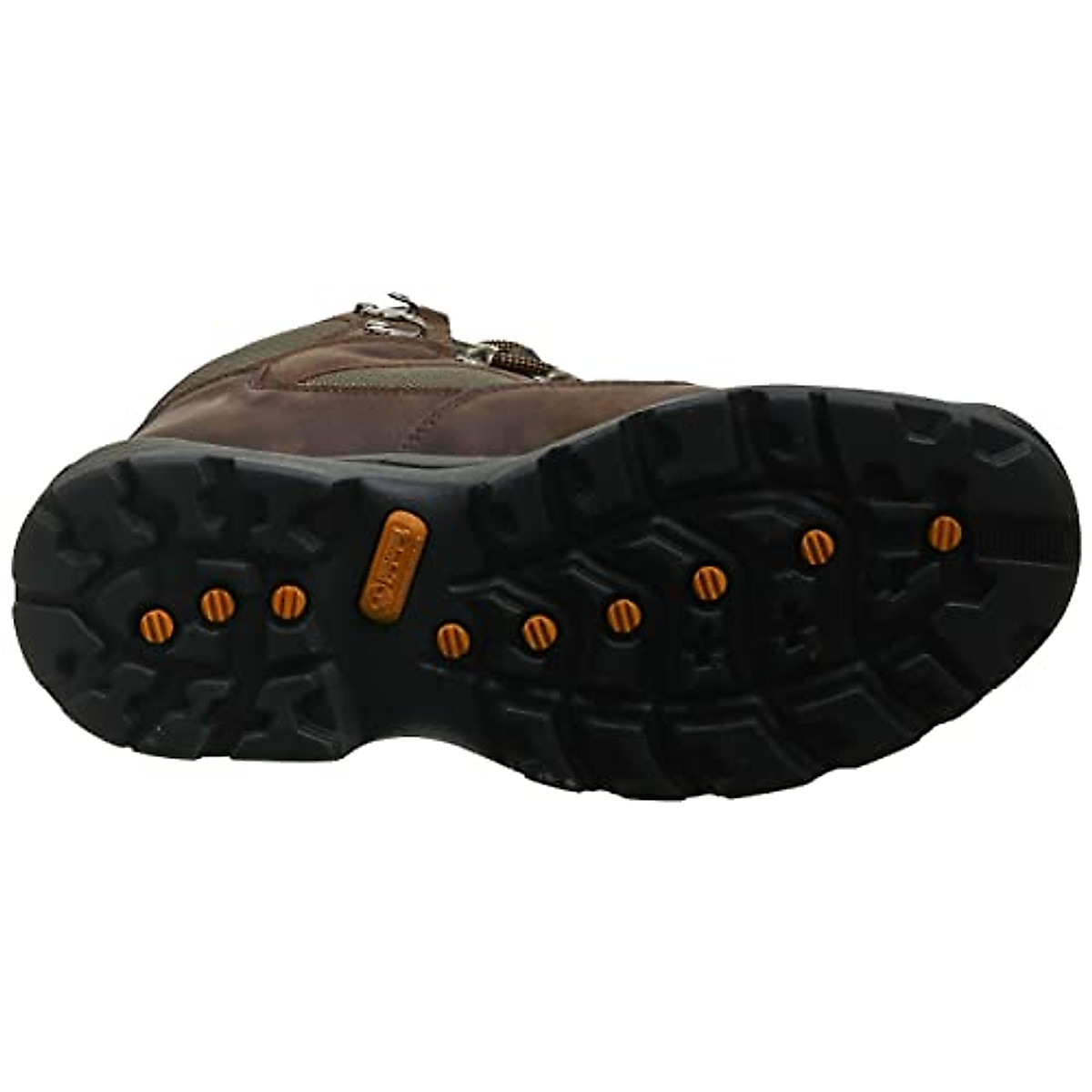 Timberland Men's Chocorua Trail Mid Waterproof Hiking Boot, Brown/Green, 12 D - Medium