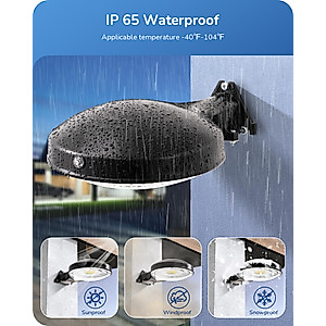 EDISHINE LED Barn Light, Dusk to Dawn Area Lights with Photocell, Outdoor Security Flood Lighting, 10000LM 65W 5000K Daylight, IP65 Waterproof Outdoor Flood Light for Farmhouse Garage Yard Street