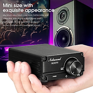 Nobsound 100W Full Frequency Mono Channel Digital Power Amplifier Audio Mini Amp (Black)