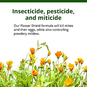 Humboldts Secret Flower Shield – Powerful Insecticide – Pesticide – Miticide – Fungicide – Bug Spray – Spider Spray – Plant and Flower Protection – Healthy Treatment for Pests and Fungus (32 Ounce)