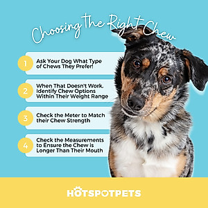 hotspot pets Premium 6'' Beef Trachea for Dogs Large - All Natural Long Lasting Dog Chews Rich in Glucosamine & Chondroitin 100% Beef Chews Single Ingredient Grass Fed Dog Treats - (8 Count)