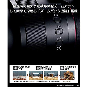 Panasonic Lumix 1.0-inch Sensor Mounted Optical 16x Zoom 4K Video corresponding DC-FZ1000M2?Japan Import