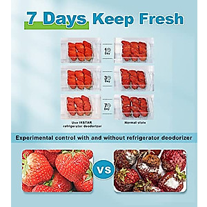 Fridge Deodorizer Mini Portable Reusable Refrigerator Deodorizer Eliminator for Refrigerators, Shoe Cabinet, Wardrobe, Car, Pet Home , More Effective Than Baking Soda and Charcoal Bags