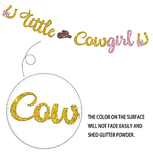 Little Cowgirl Banner - Western Cowboy One 1st Birthday Banner for Little Girl Gender Reveal Welcome Baby Girl Birthday Party Decorations