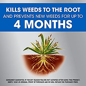 Roundup Dual Action Weed & Grass Killer Plus 4 Month Preventer Concentrate, 32 fl. oz.