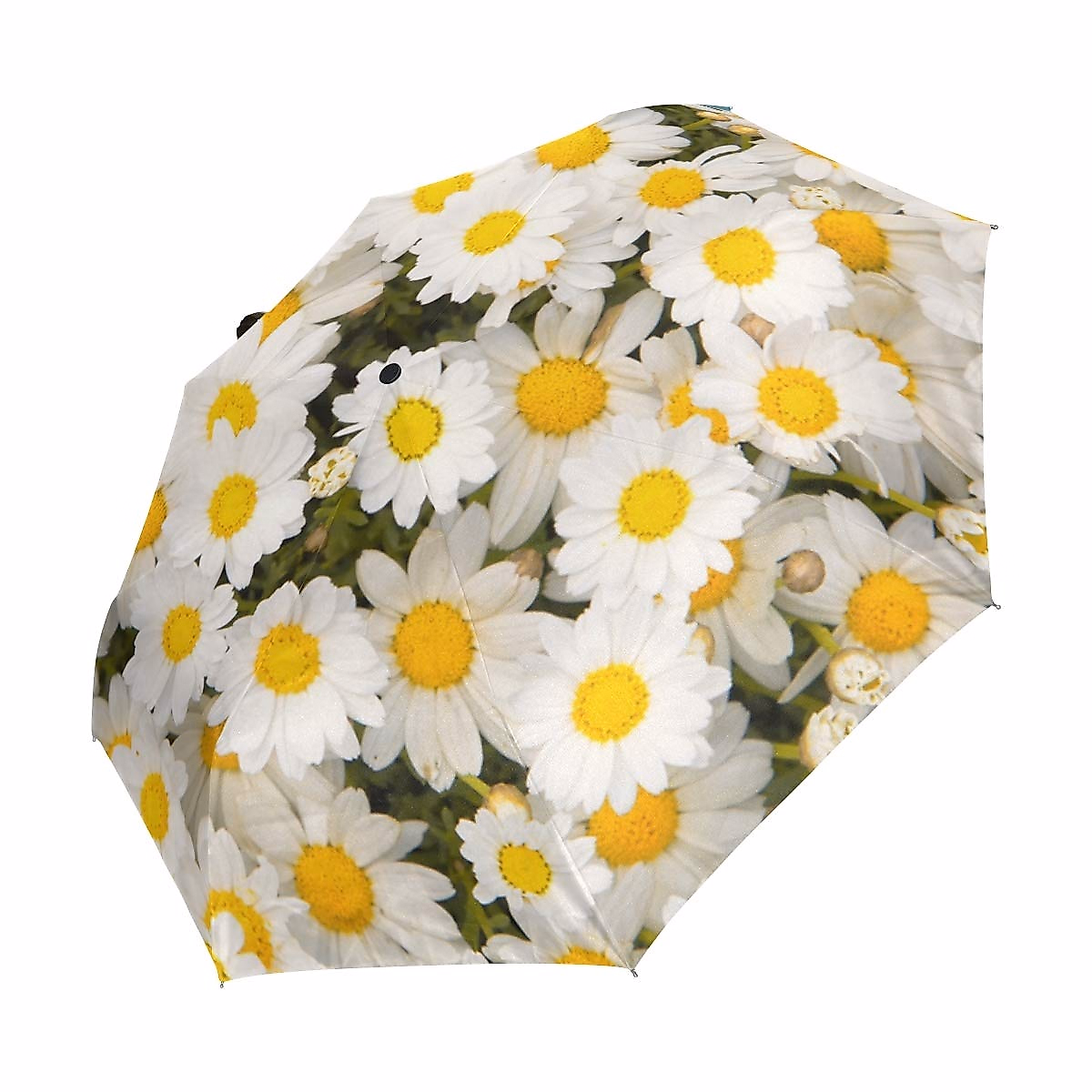 senya White Daisy Compact Travel Umbrella Sun and Rain Windproof Auto Open Close Folding Umbrella