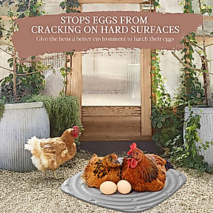 HUIJUTCHEN Nesting Box Pads for Chickens, Washable 4 Pack Chicken Nesting Box Pads for Laying Eggs, Sponge Nesting Pads for Chicken Coop, Chicken Bedding for Coop Nesting Box, Grey