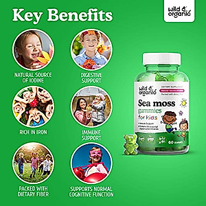 Wild & Organic Sea Moss Gummies Bundle - Superfood Wildcrafted Seamoss Gummy Vitamins for Kids & Adult - Thyroid Health, Digestive & Immune Support Supplements w/ Raw Irish Moss Bladderwrack - 2 Pack