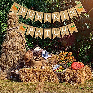 Rainlemon Jute Burlap Pumpkin Patch Banner Fall Autumn Theme Little Pumkin Birthday Party Garland Decoration