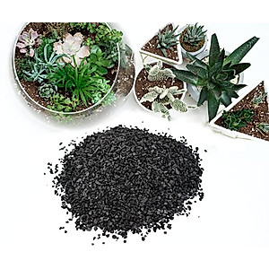 TerraGreen Creations - Horticultural Charcoal, Activated Hardwood Charcoal for Soil, Terrarium Supplies, Great for Conditioning Bonsai Soil, Succulent Soil, Indoor Plant Potting Soil (1qt.)