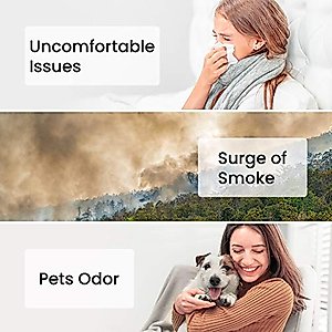 smartmi Filter Replacement - H13 True HEPA, Preliminary Layer and Inner Layer - Absorbs Pollen, Dust, and More Particles at Home, Office (2)