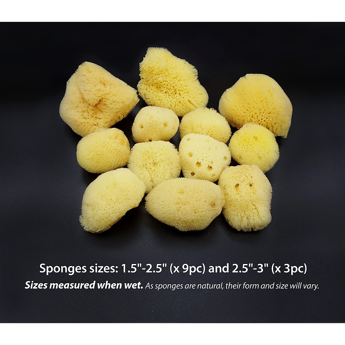 Natural Sea Silk Sponges 12pk: Size 9pc x1.5"-2.5" 3pc x 2.5"-3", like Cotton Balls, for Cosmetic Use, Makeup Application & Removal, Face & Eye Cleaning, with Luxury Gift Bag by Constantia Beauty®