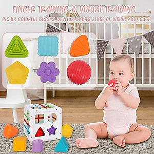 Sensory Toys for Toddlers 1-3, Baby Shape Sorter Toy, Montessori Toys for 1 2 3 Year Old Kids