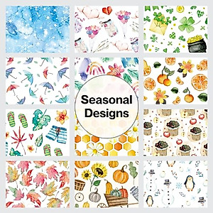 CRANBURY Small Wall Calendar 2024 (8.5x11", Seasons) 2024 Wall Calendar, Desk Calendar or Hanging Monthly Calendar 2024, Colorful Seasonal Designs, Includes Stickers