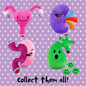 Attatoy Plush Kidney, Stuffed Body Organ Toy for Get Well Gift, Health Education and More