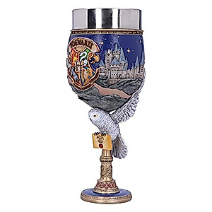 Nemesis Now Harry Potter Goblet, Hand Painted Harry Potter Collectible Chalice, Wizarding Wrold Cup, Ideal Gift for Potterheads - Hogwarts
