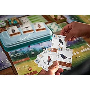 Stonemaier Games STM910 Wingspan with Swift Start Pack, Multi-colored