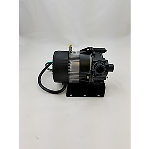 Sundance Spa Circulation Pump - 6000-125E