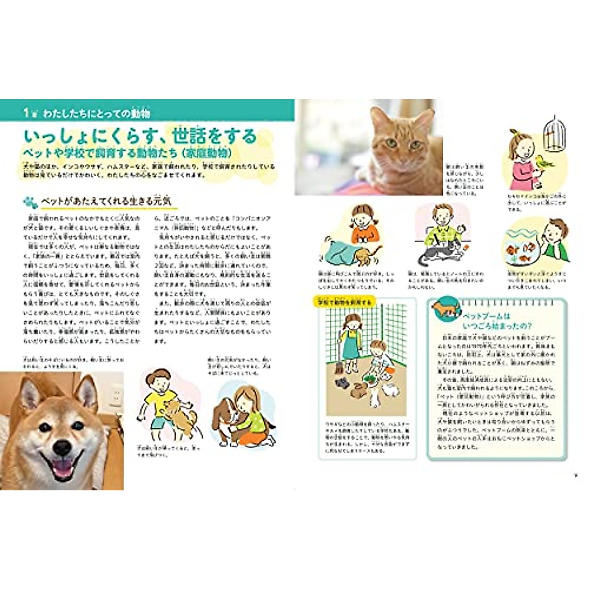 犬のいる暮らし 一生パートナーでいるために知っておきたいこと
