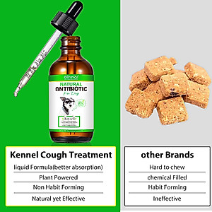 Antibiotics for Dogs, Natural Dog Antibiotics Supports Dog Allergy and Itch Relief, Dog Supplies Antibiotics, Dog Multivitamin for Pets, Bacon Flavor - 60 ml / 2 Fl Oz