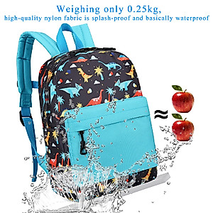 Vanaheimr Kid Backpack for School Bag Dinosaur Toddler Backpack Preschool Book Bag Infant Kindergarten Bag Nursery Lunch Box Boy