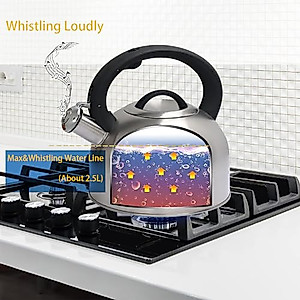 Starbbq 2.64 Quart Whistling Tea kettle for Stove Top, Stainless Steel Teapot for Stove Top with Brushed Black Handle and One-Touch Open and Close Button