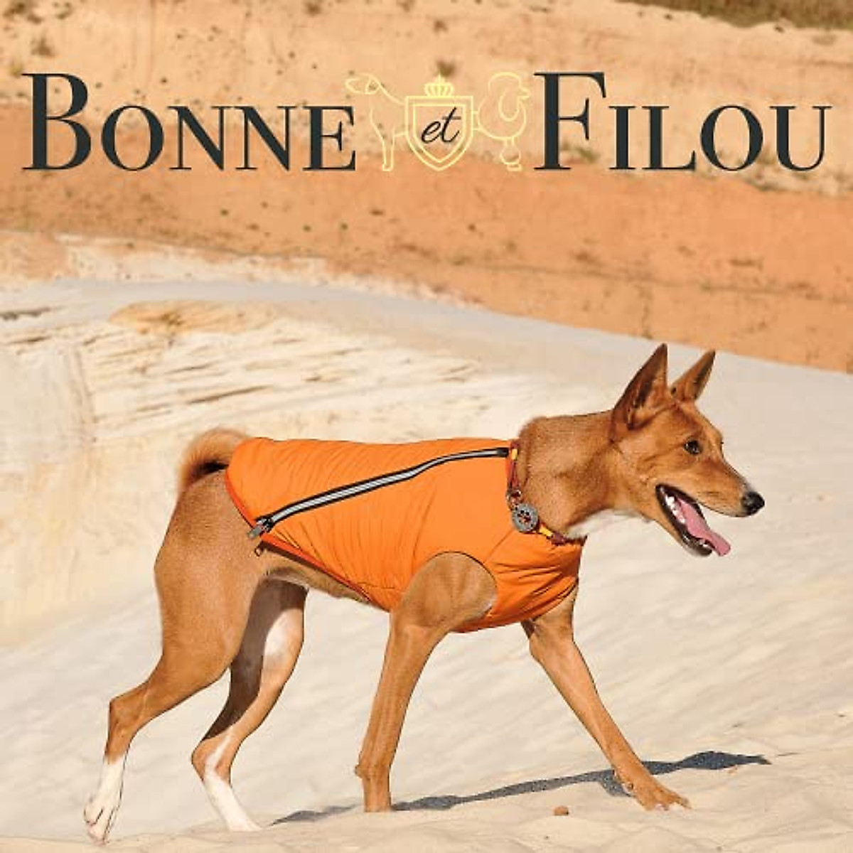 Bonne et Filou Sustainable Dog Jacket Vest Made in Ukraine with Premium Recycled Materials - Lightweight Warm Waterproof Windproof Winter Dog Coat Outfit for Cold Weather(Medium-2, Orange)