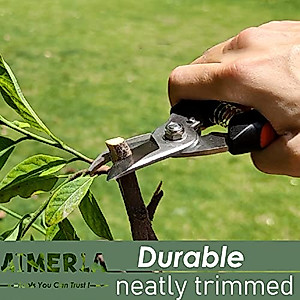 Aimerla Premium pruning shears. Stainless Steel garden shears for plants, shrubs, bushes. Durable Garden Scissors Set with Garden Gloves, Storage Bag, Garden Accessories for Women, Men