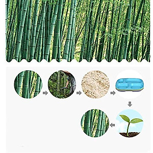 Shopwithgreen Bamboo Divided Plates for Kids Adults - Dinnerware for Toddlers Kids Children Baby, BPA Free, Stackable, Dishwasher Safe, 9.4 inch, Set of 4