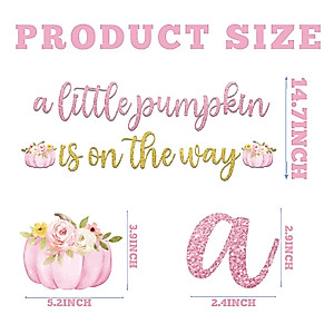 Little Pumpkin Baby Shower Decorations, Girl Pink Pumpkin Baby Shower Decorations includes a Little Pumpkin Is On The Way Banner and A Little Pumpkin Is On Her Way Baby Shower Hanging Swirls