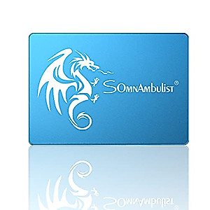 Somnambulist 2.5" Built-in SSD Hard Disk SATA3 120GB 240GB 60GB SSD (Blue Dragon-120GB)