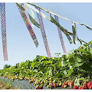 Bird Scare Ribbon Double Sided Holographic Reflective Ribbon Tape to Keep Away Woodpecker, Pigeon, Hawks, Grackles Bird (0.9in x 260ft)