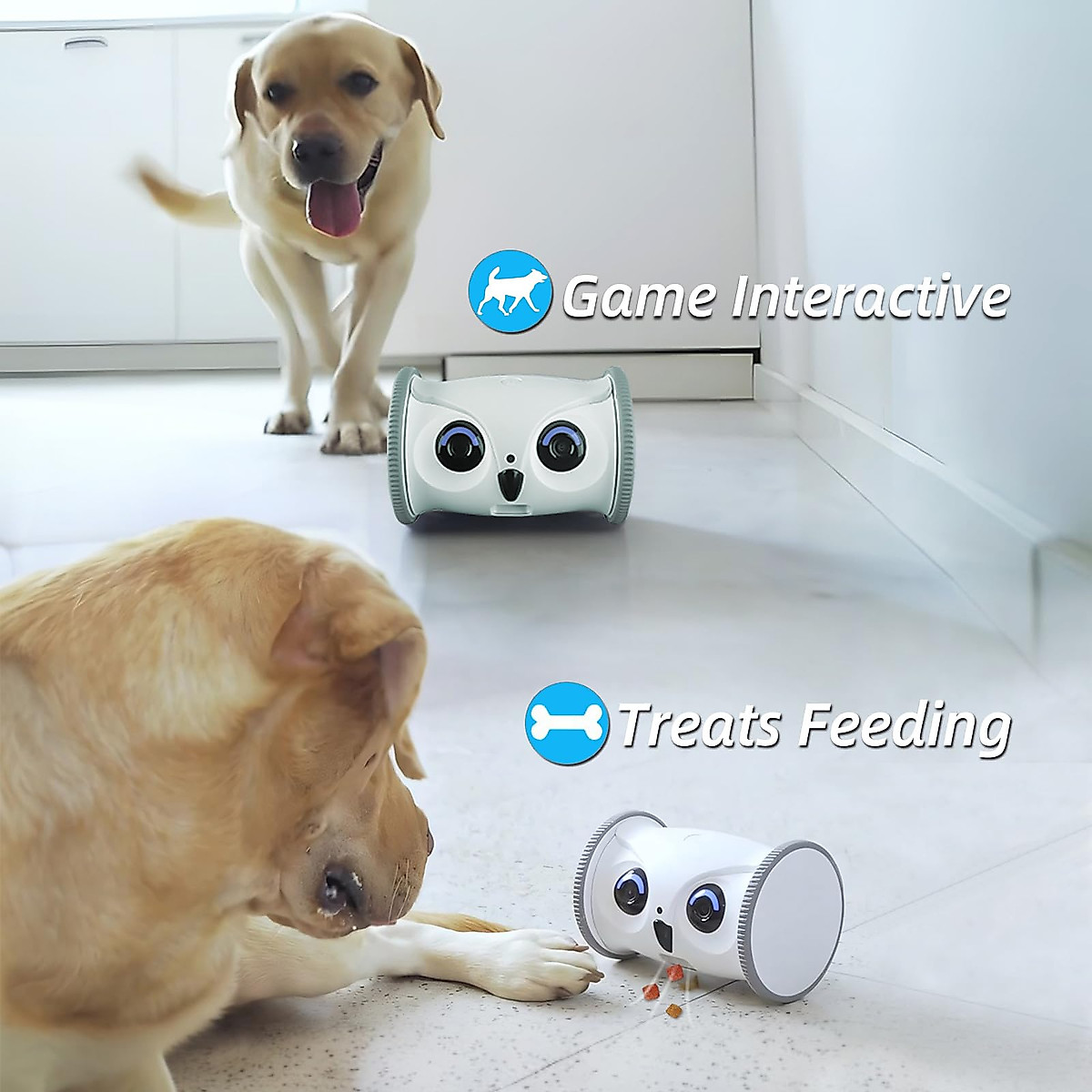 SKYMEE Owl Robot: Mobile Full HD Pet Camera with Treat Dispenser, Interactive Toy for Dogs and Cats, Remote Control via App (2.4G WiFi ONLY)
