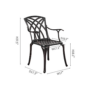 Withniture Outdoor Patio Chairs Set of 2,Outdoor Dining Chairs with Arms,Cast Aluminum Patio Chairs,All Weather Bistro Chair for Front Porch Set,Lawn,Garden,Backyard(Bronze)