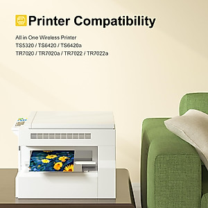 260XL and 261XL Ink Cartridges Replacements for Canon 260 and 261 Ink Cartridges Work for PIXMA G7020 TR7020 TR7020a TS6420 TS6420a TS5320 All-in-One Wireless Printers ( 2 Pack, 1 Black&1 Tri-Color)