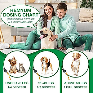 Hemp Oil for Dogs and Cats - Helps Anxiety Stress Pain Inflammation Relax Sleep Calm Aggressive Arthritis Allergies Seizures Skin Joint Hip - Treats Chews Pill Tincture - Organic Pet Calming Drops