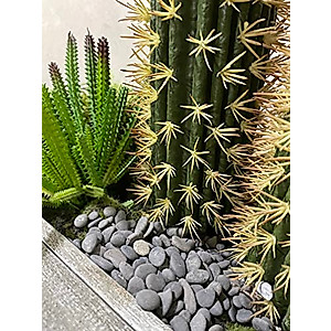 Black Rock, CJGQ 3lb River Rocks Pebbles for Plants Succulents, Decorative Outdoor Landscaping Garden Rocks, Natural Small Mexican Beach Pebbles Aquarium Rocks Gravel for Fish Tanks Vase Yard Decor