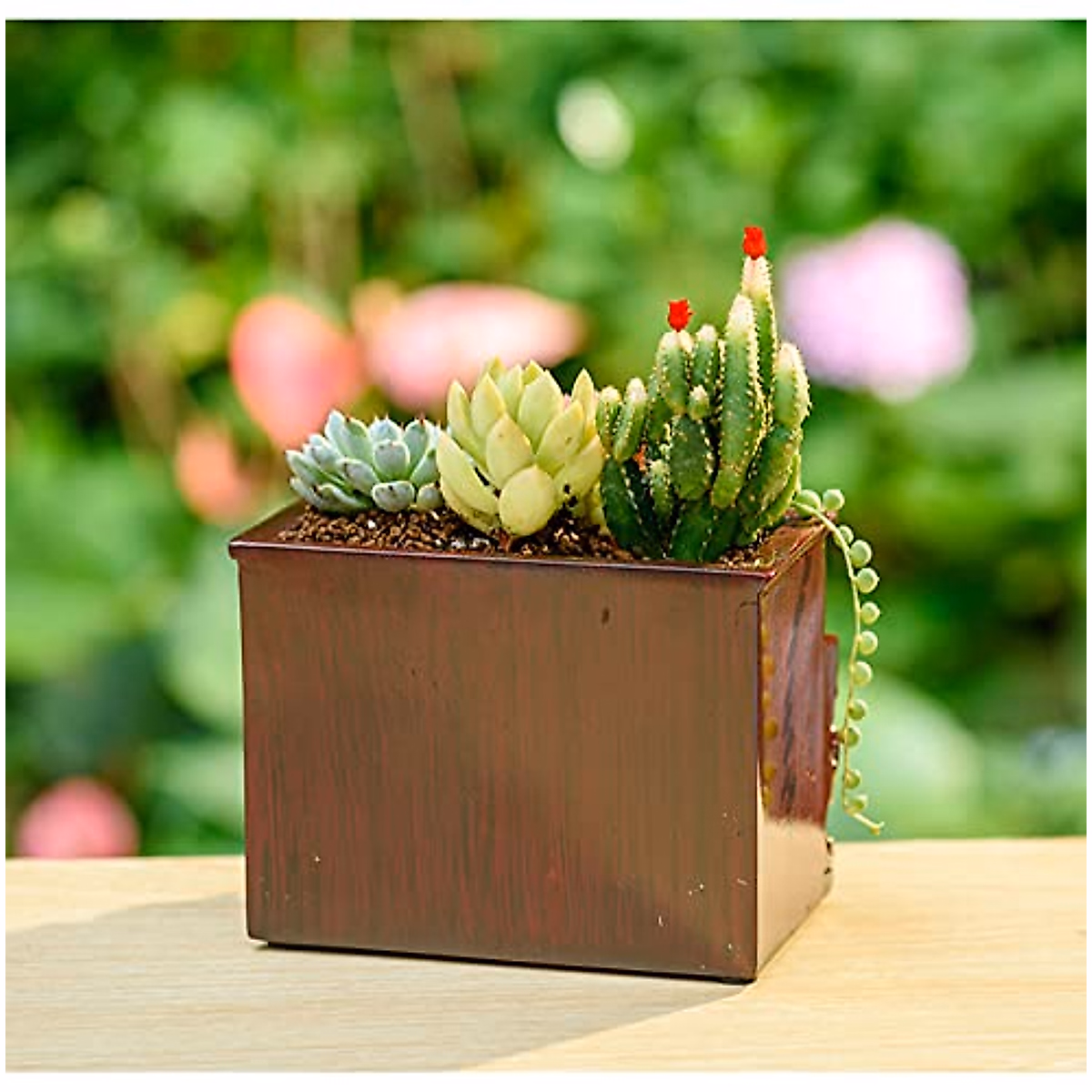 JIATAY Wooden Pots, Mini Flowerpot, Retro Resin Succulent Planter Bonsai Pot Desk Holder Mini Ornament (Piano Brown)