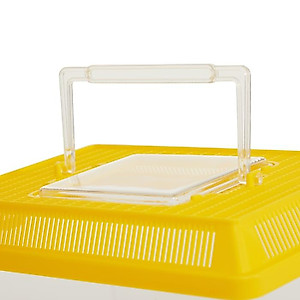 You & Me Square Pet Keeper, Small